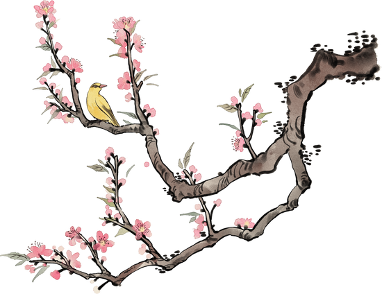 tl.png (213 KB,550*424)