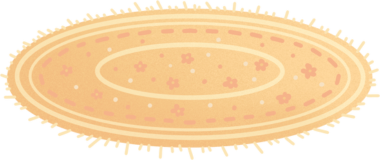 tl.png (550×232)-花瓣网