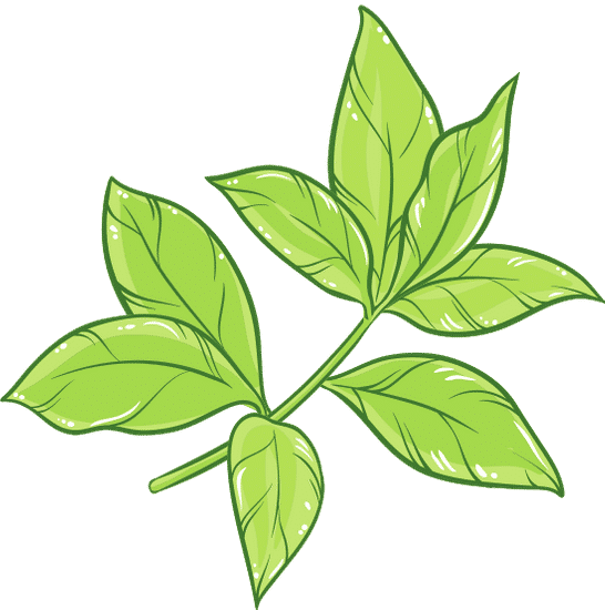 tl.png (40.1 KB,546*550)-花瓣网