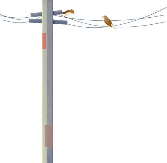 tl.png (550×536)-花瓣网